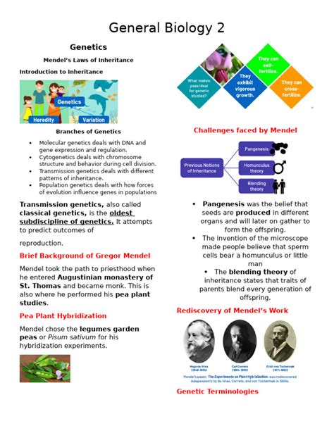 Genetics Mendels Law Of Inheritance Pdf Genetics Dominance Genetics