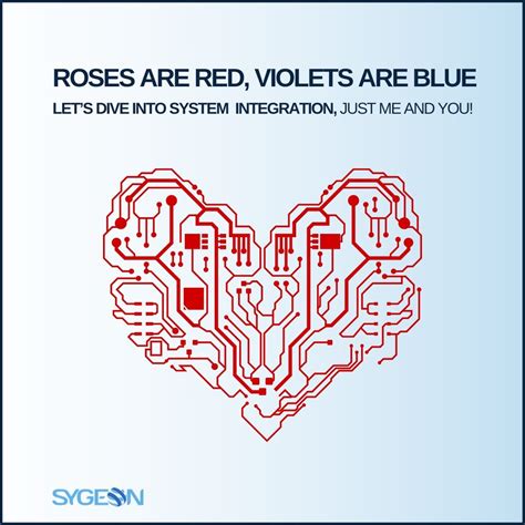 Systemintegration Sap Salesforce Business Software Sygeon Erpsystems Sapsystem