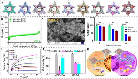 Molecular Structure And Application Of Covalent Organic Frameworks Cofs In Tumor Therapy