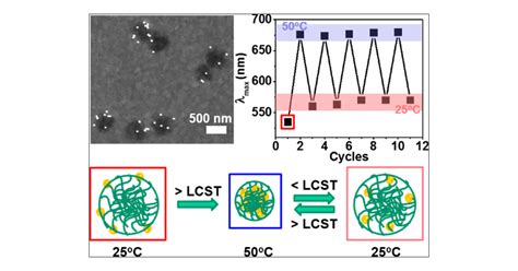 Dynamic Optical Switching Of Polymerplasmonic Nanoparticle Hybrids With Sparse Loading The