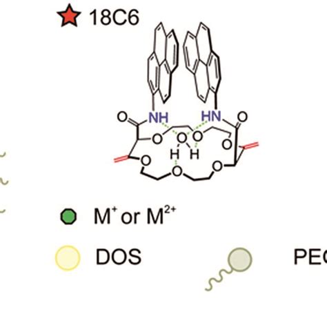 Ion Selective Emulsions Doped With Macrocyclic Compound As An Download Scientific Diagram
