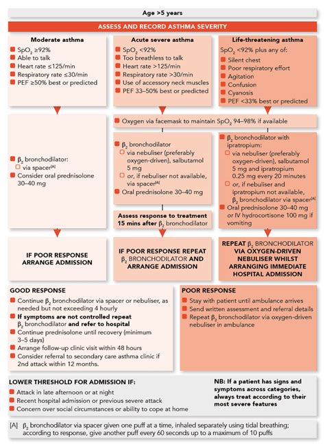 Asthma Exacerbation Protocol Score
