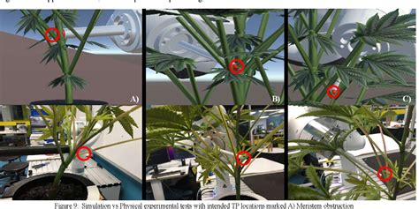 figure 9 from robotic crop handling in cluttered and unstructured