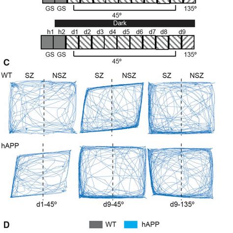 Other Visual Experiences Differentially Influence Visual Recognition