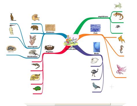 Valeries Uni Blog Week 1 Mind And Concept Maps