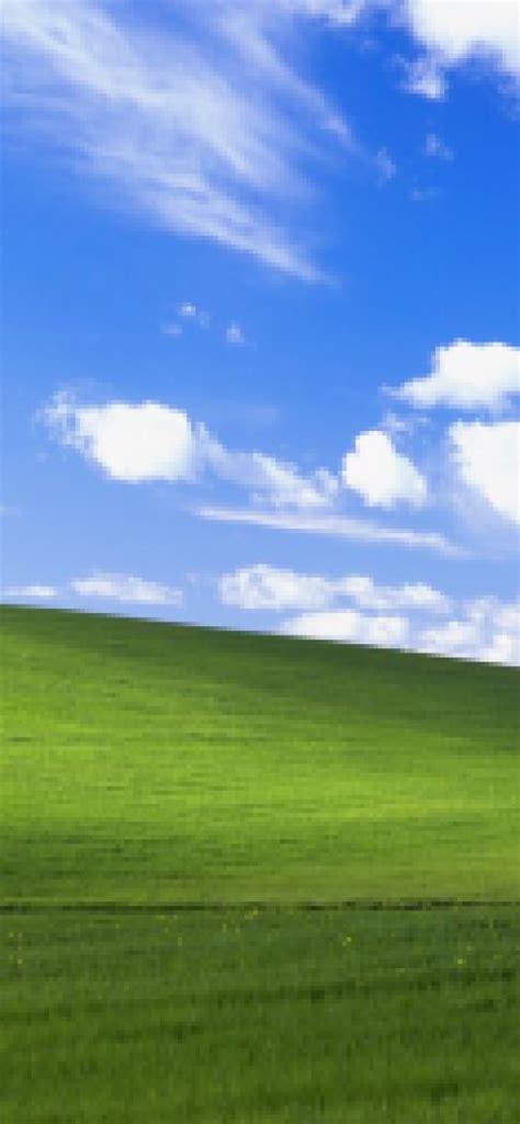 Create A Bfdi Bfb Tpot Assets Tier List Tiermaker