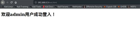 前端登录绕过漏洞分析与修复 csdn博客