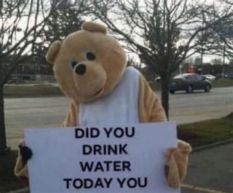 Did U Drink Heybae Drink A Water Every Day 🧸🥬 Stay Hydrated Funny