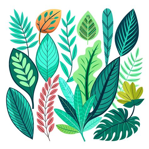 Conjunto De Hojas Tropicales Exóticas Ilustración Vectorial Aislada En