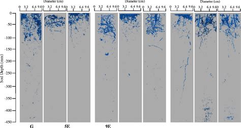 Three Dimensional Visualization Of Soil Macropore Networks In The Soil Three Dimensional Visualization Of Soil Macropore Networks In The Soil