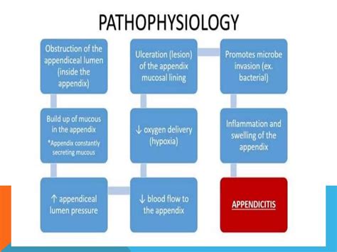 Appendicitis Overview Pptx
