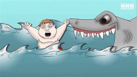 Shark Attack Animated 