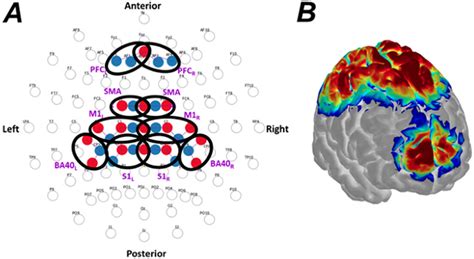 Cortical Fnirs Layout And Sensitivity Map A Geometrical Layout Of