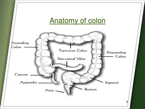 Ppt Colon Targeted Drug Delivery System Powerpoint Presentation Free Download Id 1024251