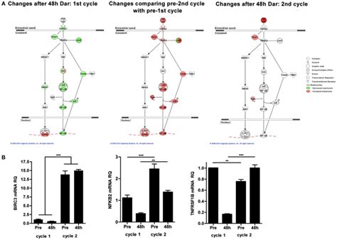 A Microarray Analyses Were Performed On Rna Isolated From Peripheral