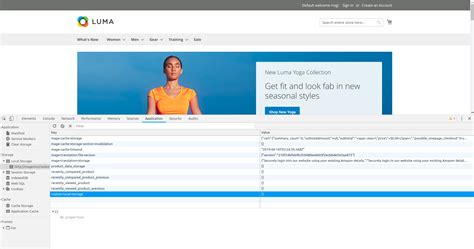 How To Use Custom Local Storage And Cookie Storage In Magento 2
