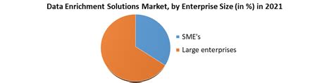 Data Enrichment Solutions Market Global Industry Analysis And Forecast