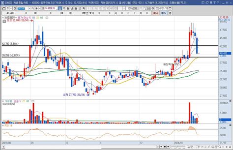 뉴로메카 주가 전망 배당금 목표주가는