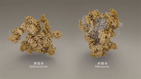 Life Science Visualization Beauty Of Science