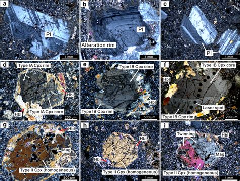 Representative Photomicrographs To Show The Microstructures Of