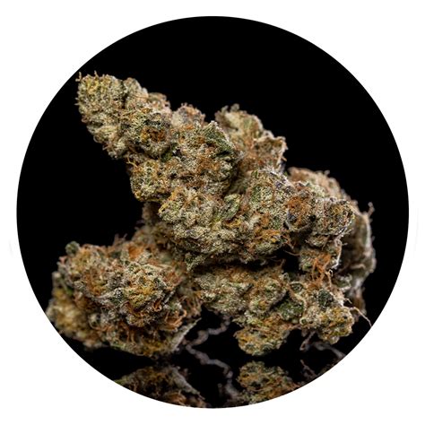 Khalifa Kush Strain