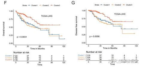 最新1区9 2分sci，基于代谢通路对肝癌进行分型，进而进行后续的实验。不会设计实验的朋友可以参考了（换个肿瘤可重复！） 知乎