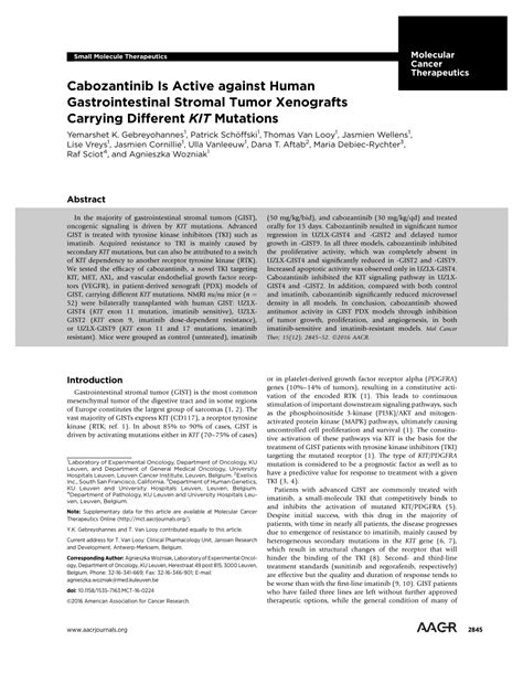 Pdf Cabozantinib Is Active Against Human Gastrointestinal Stromal Tumor Xenografts Carrying