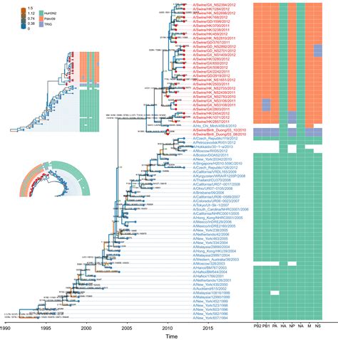Ggtree An R Package For Visualization And Annotation Of Phylogenetic
