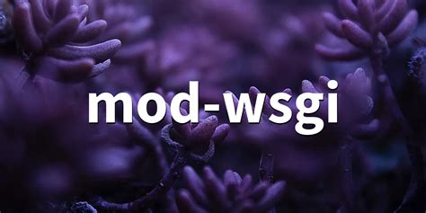 Mod Wsgi 5 0 1 Installer For Apache Mod Wsgi PythonFix Com
