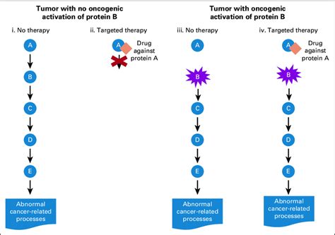 Simplified Diagram Showing The Reasoning Behind Looking At Downstream Download Scientific