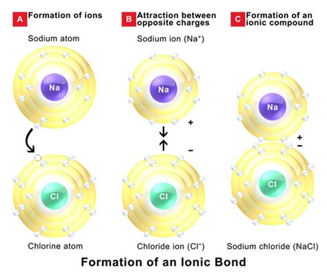Bond Types—ionic And Covalent Biology Libretexts
