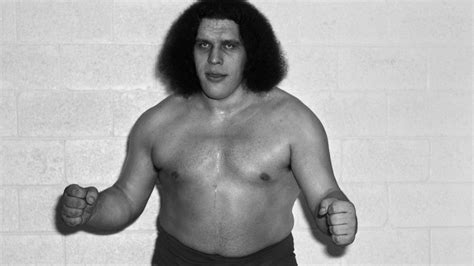 Did Andre The Giant Ever Stop Growing