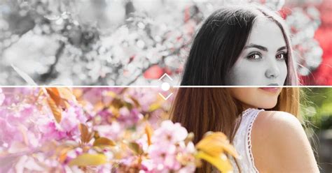 Create A Slider To Compare Two Photos Code Canel