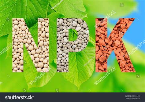 Npk Letters Made Mineral Fertilizers On Stock Photo 382594432 | Shutterstock