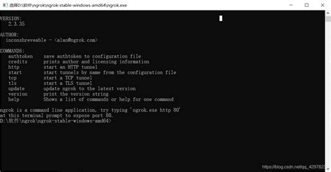 最全ngrok实现内网穿透详细教程（windows Linux）ngrok内网穿透教程 Csdn博客