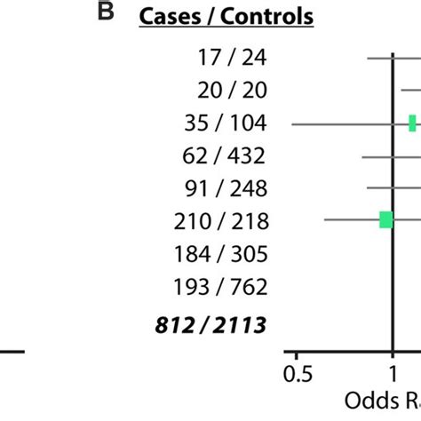 Two Common Findings In Schizophrenia Working Memory Deficits And