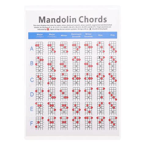 Easy Beginner Chord Chart Mandolin Practice Poster Fretboard Note £699