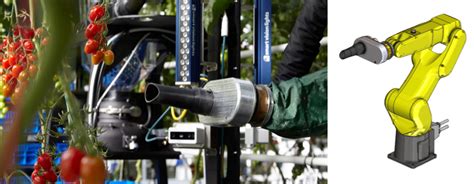 Tomato Harvesting End Effector Daedalus Experience