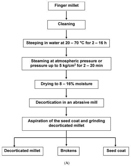 Finger Millet Seed Coat—a Functional Nutrient Rich Cereal By Product
