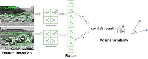 duplicate deletion strategy download scientific diagram