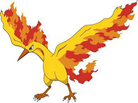 Fire Duck Pokemon Moltres Drawing Easy Moltres Pokemon Tattoo Creature