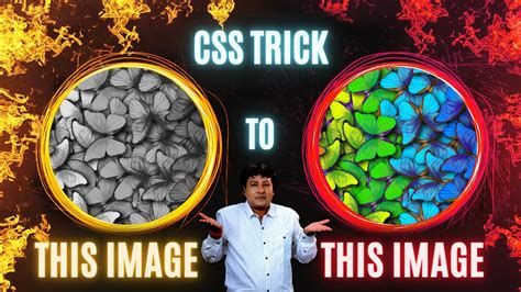 css image hover effect tutorial create stunning hover effects with