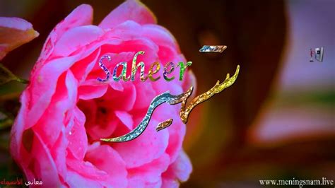 Meaning Of The Name Saheer And Characteristics Of The Bearer