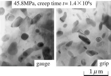 Tem Micrographs Showing The Precipitates At A Gauge Part A And A Grip