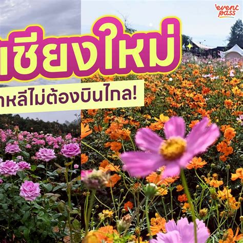 Eventpass Eventpass Added A New Photo