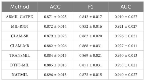 Frontiers Neighborhood Attention Transformer Multiple Instance Learning For Whole Slide Image