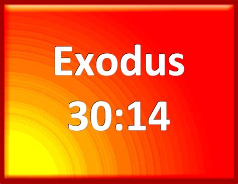 Exodus 30 14 Every One That Passes Among Them That Are Numbered From Twenty Years Old And Above
