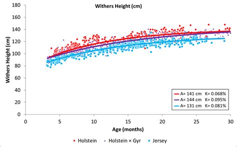 Withers Height Cm Growth Curves For Holstein Holstein × Gyr And