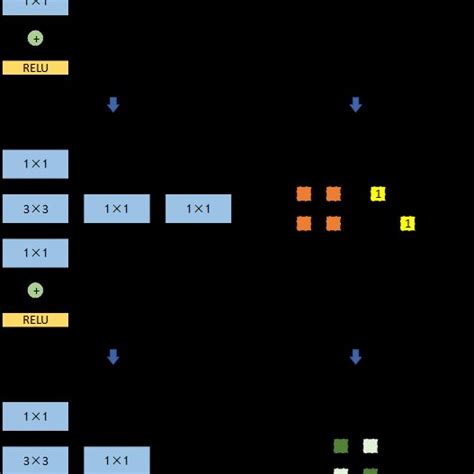 the re parameterized structure of the multi branch architecture