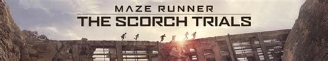 The Scorch Trials Quotes